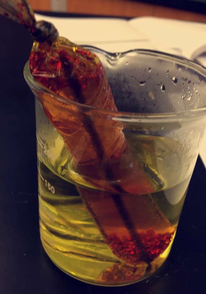 Kidney Dialysis Kit: Modeling Diffusion and Homeostasis | Science Take-Out