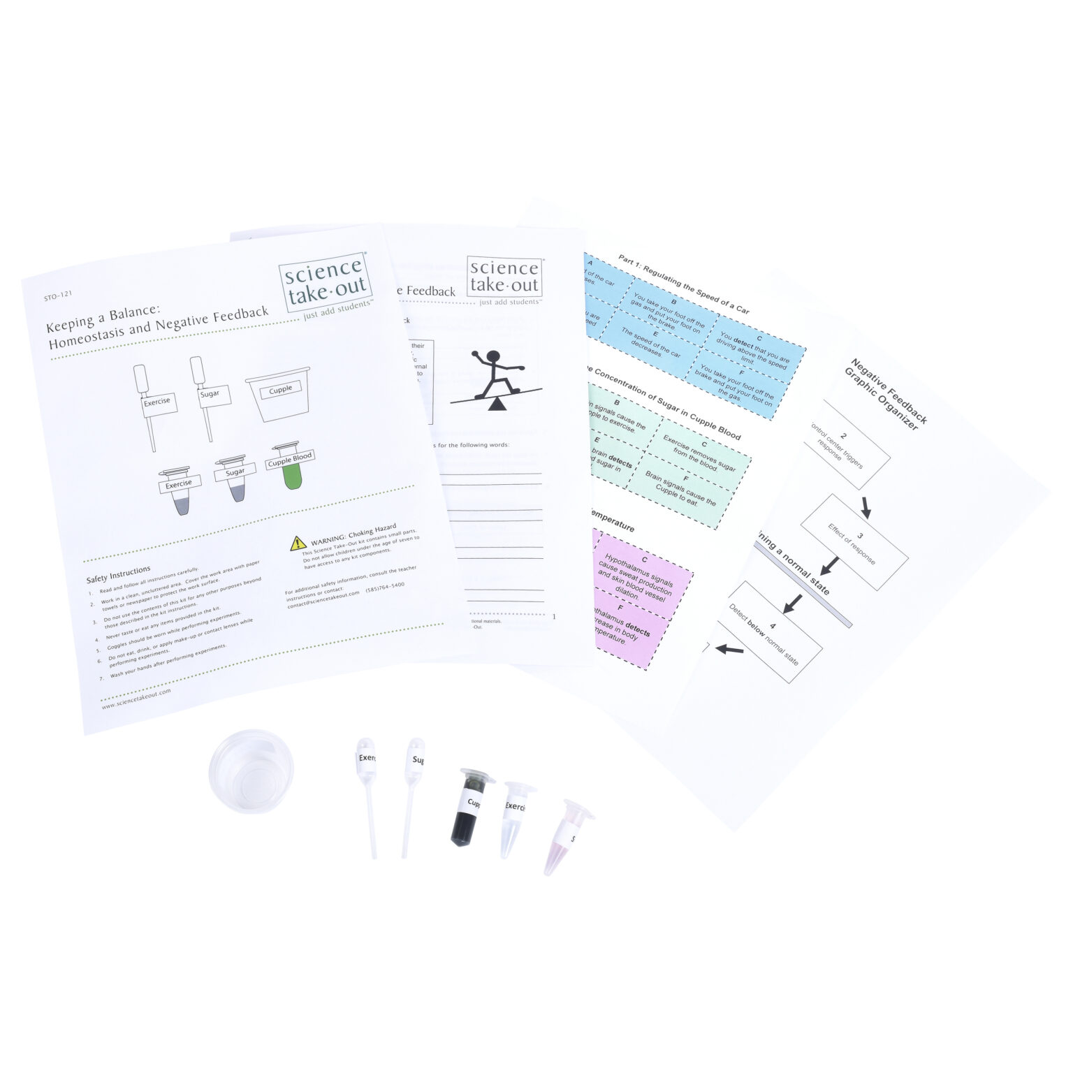 Keeping a Balance: Homeostasis & Negative Feedback | Science Take-Out