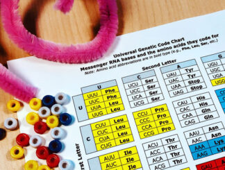 Science Take-Out | Hands-On Learning Kits | Educate & Inspire