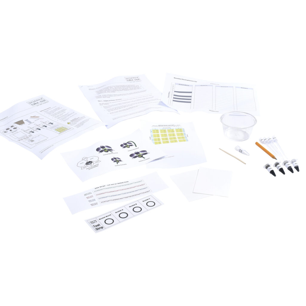 Flower Forensics | Science Take-Out | Hands-On Learning Kits