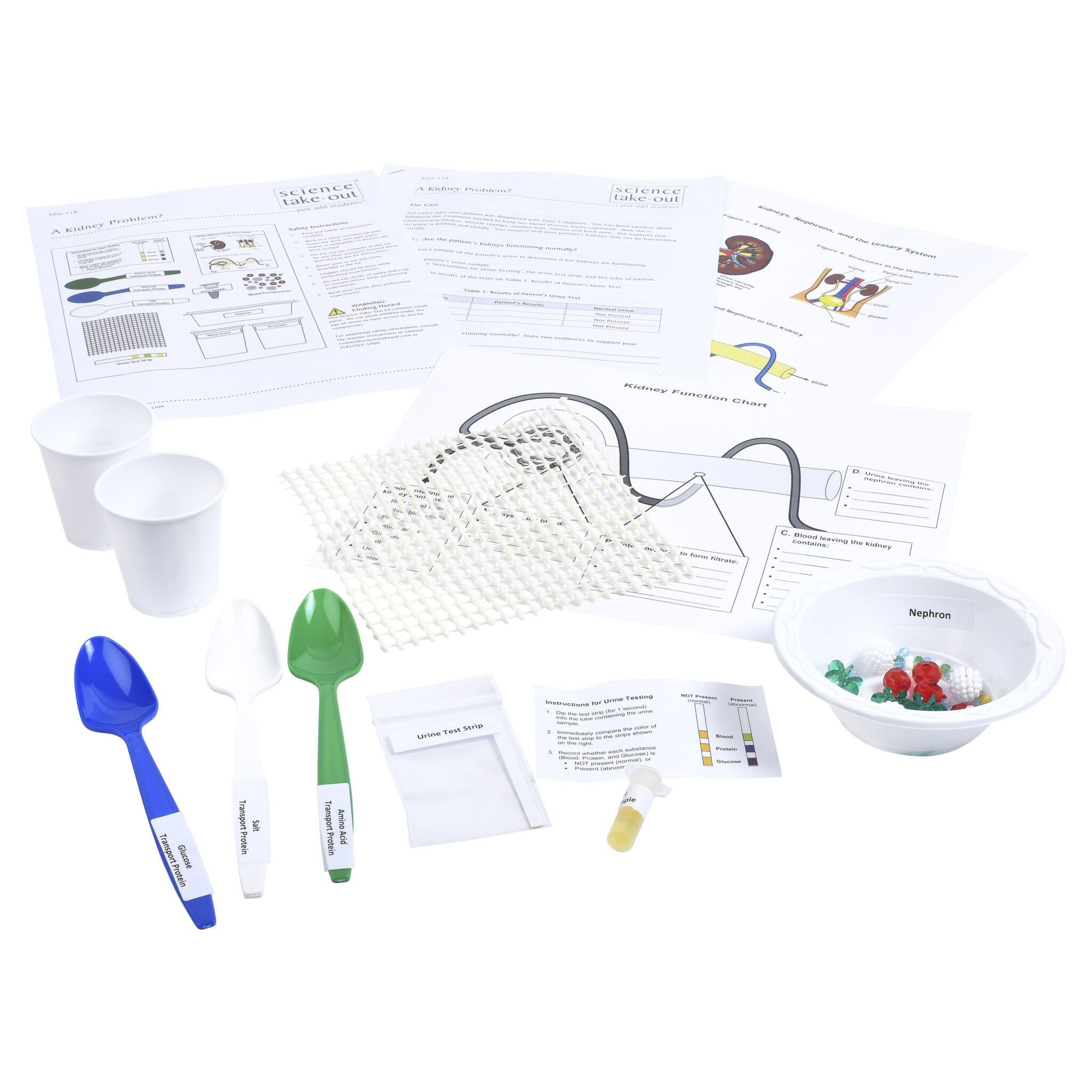 A Kidney Problem? | Science Take-Out | Hands-On Learning Kits