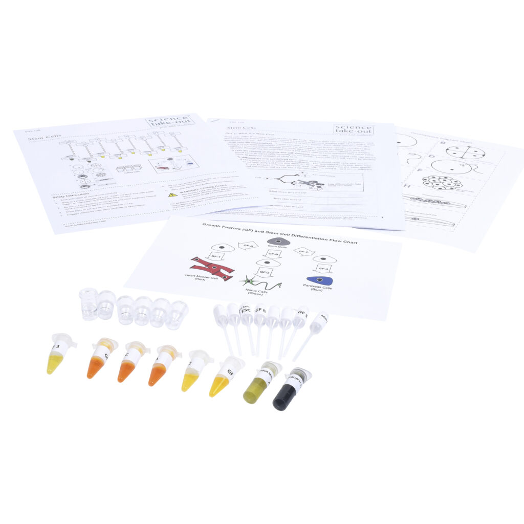 Stem Cells | Science Take-Out | Hands-On Learning Kits