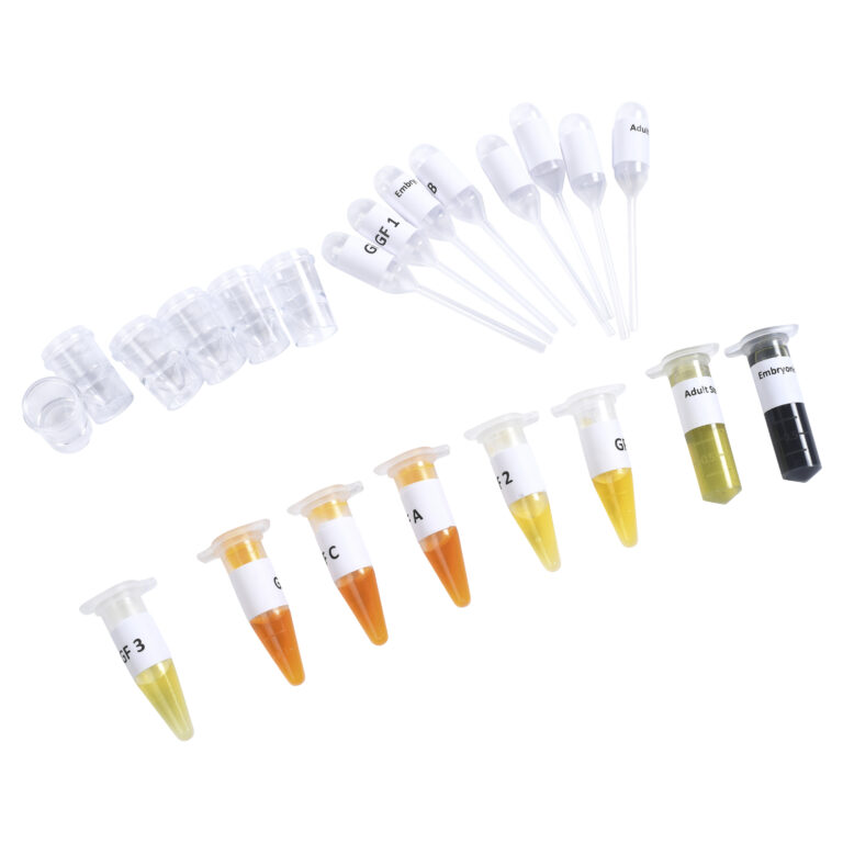 Stem Cells | Science Take-Out | Hands-On Learning Kits