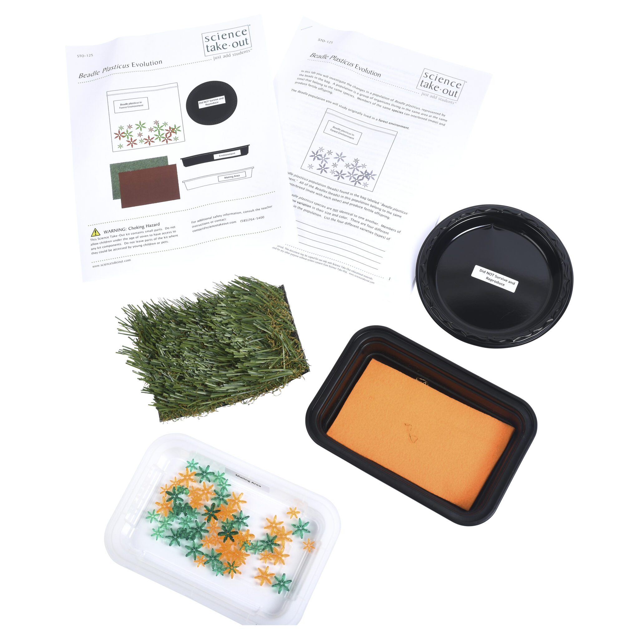 Evolution Workshop | Science Take-Out | Hands-On Learning Kits