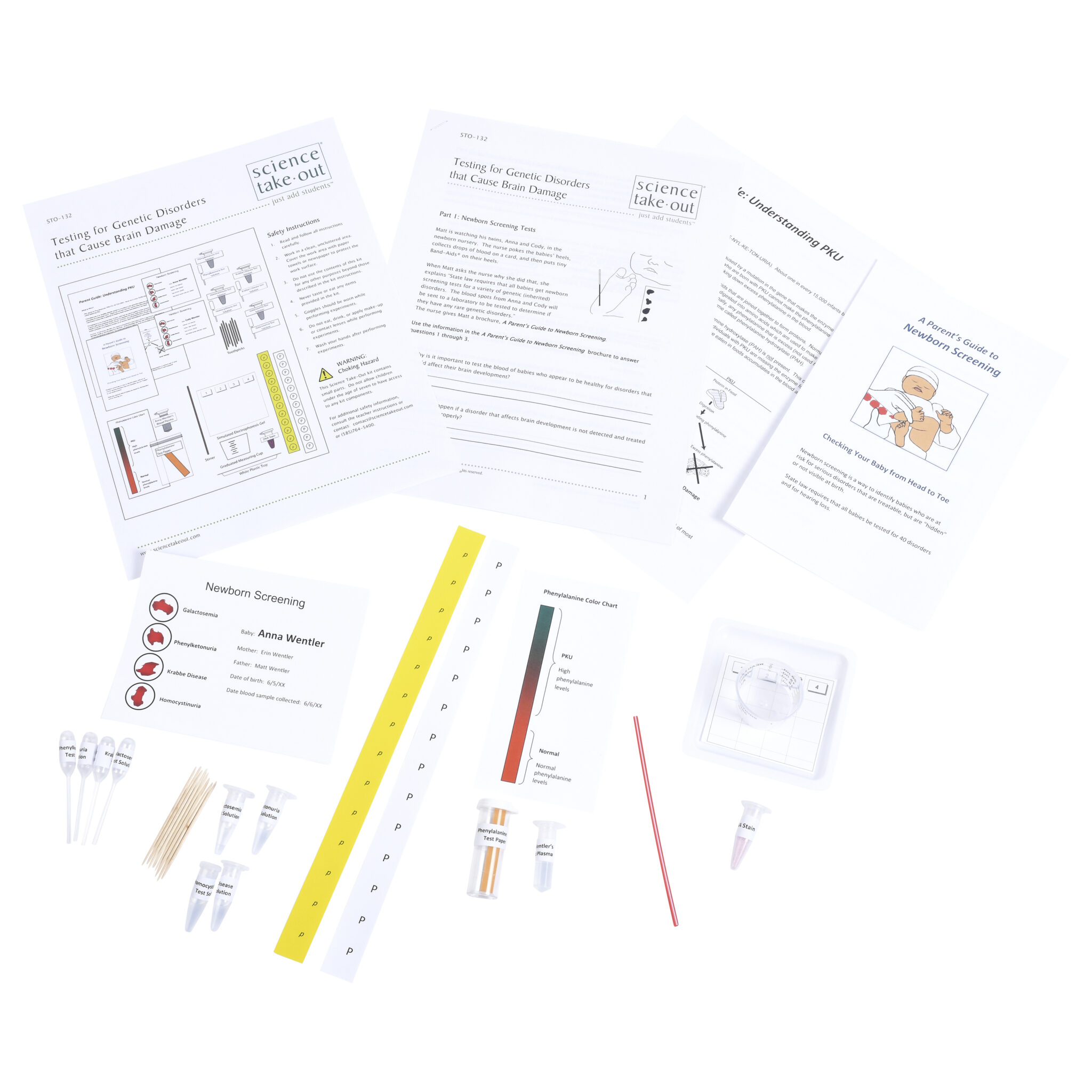 School Neuroscience Lab | Science Take-Out | Hands-On Learning Kits