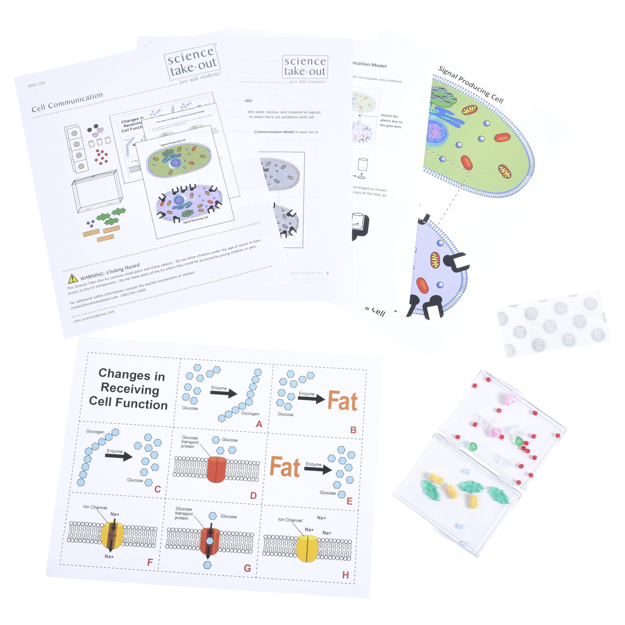 Cell Biology Lab Experiments | Science Take-Out | Hands-On Learning Kits