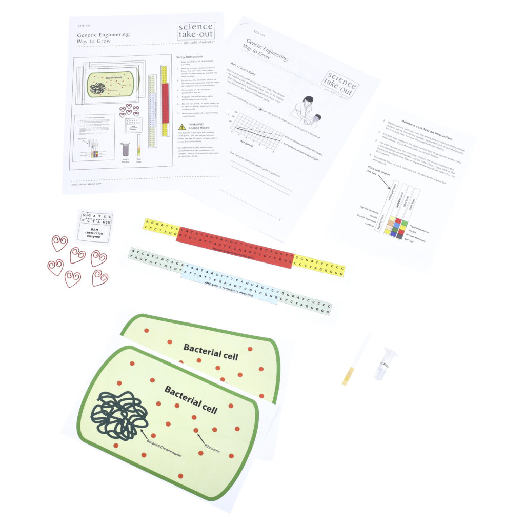 Molecular Biology Lab Experiments | STO | Hands-On Learning Kits