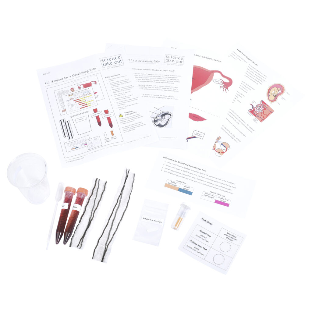 Human Reproductive System Science Lab | STO | Hands-On Learning Kits