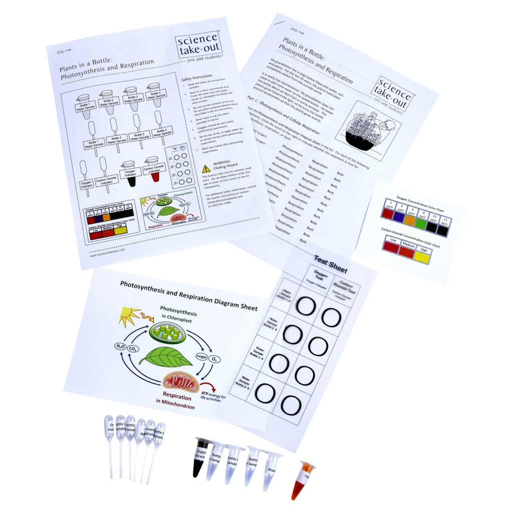 Plants in a Bottle: Photosynthesis and Respiration | Science Take-Out