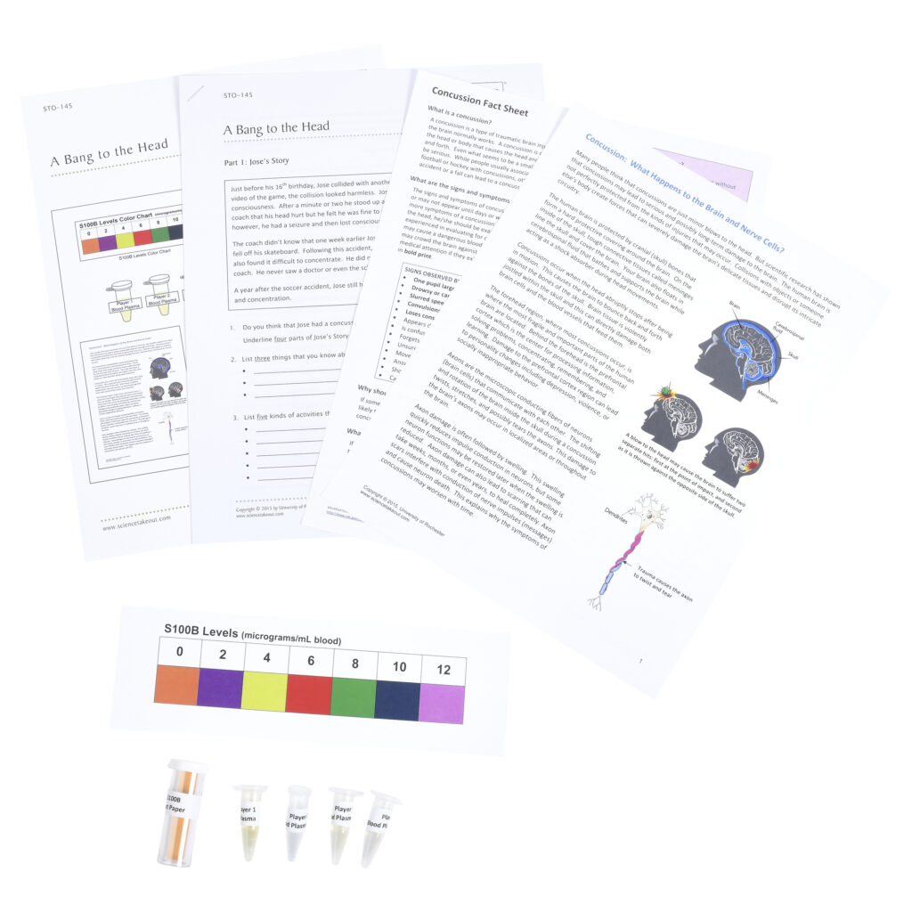 Anatomy Experiments for School | STO | Hands-On Learning Kits