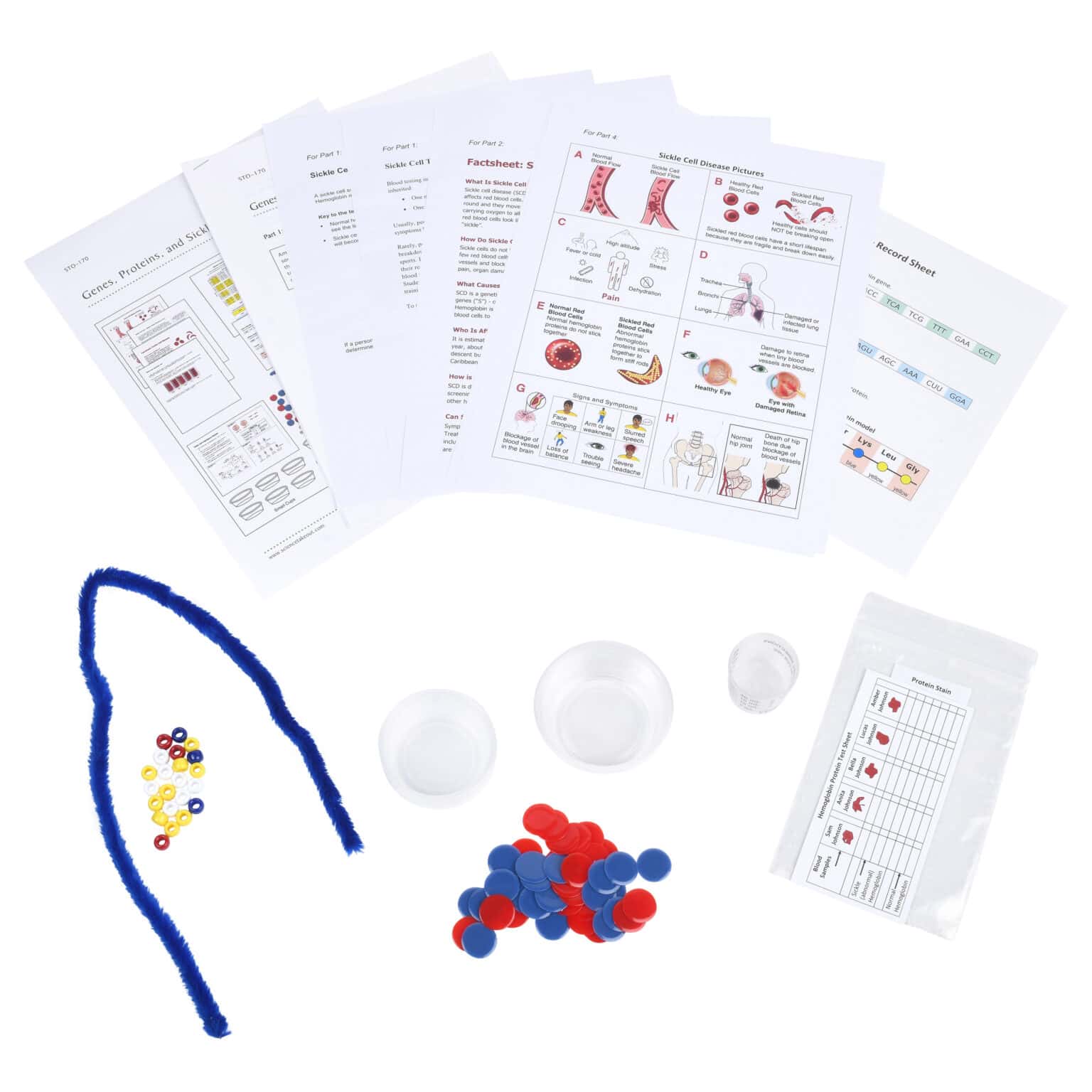 Science Take-Out | Hands-On Learning Kits | Educate & Inspire