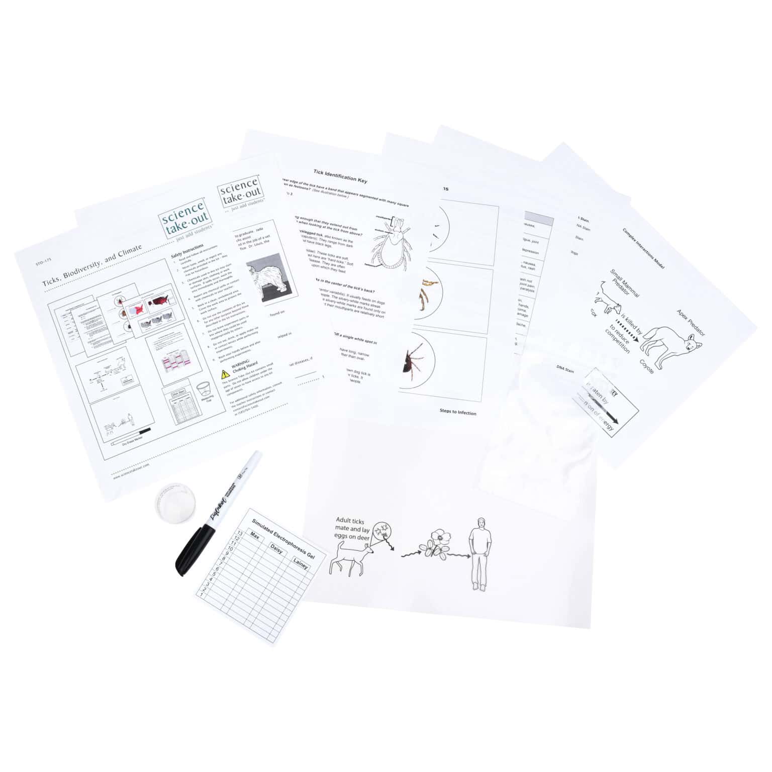 Science Take-Out | Hands-On Learning Kits | Educate & Inspire